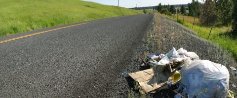 Litter Study - Keep America Beautiful