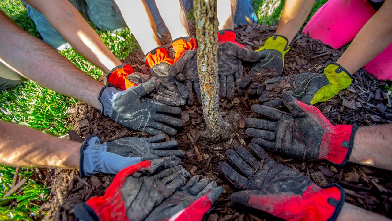 Restoration & Resiliency Disaster Relief - Keep America Beautiful